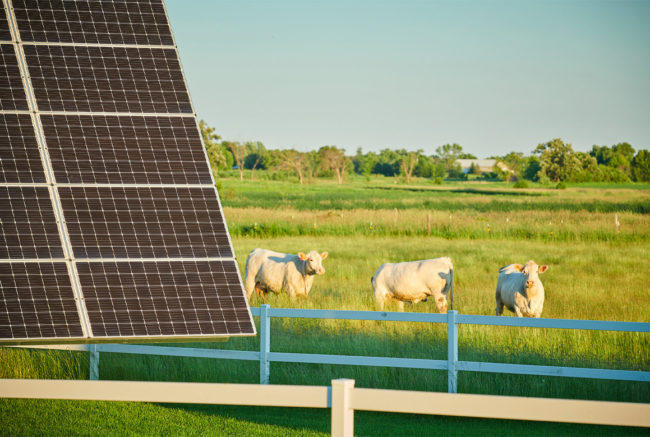 Blue Horizon Energy – We Build Better Solar